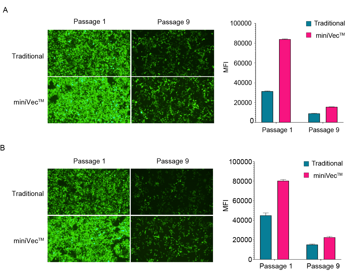 miniVec™ Plasmid | VectorBuilder